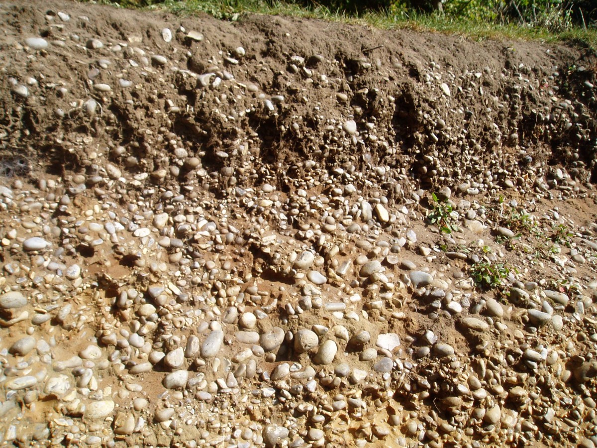 Geology – Halesworth Millennium Green